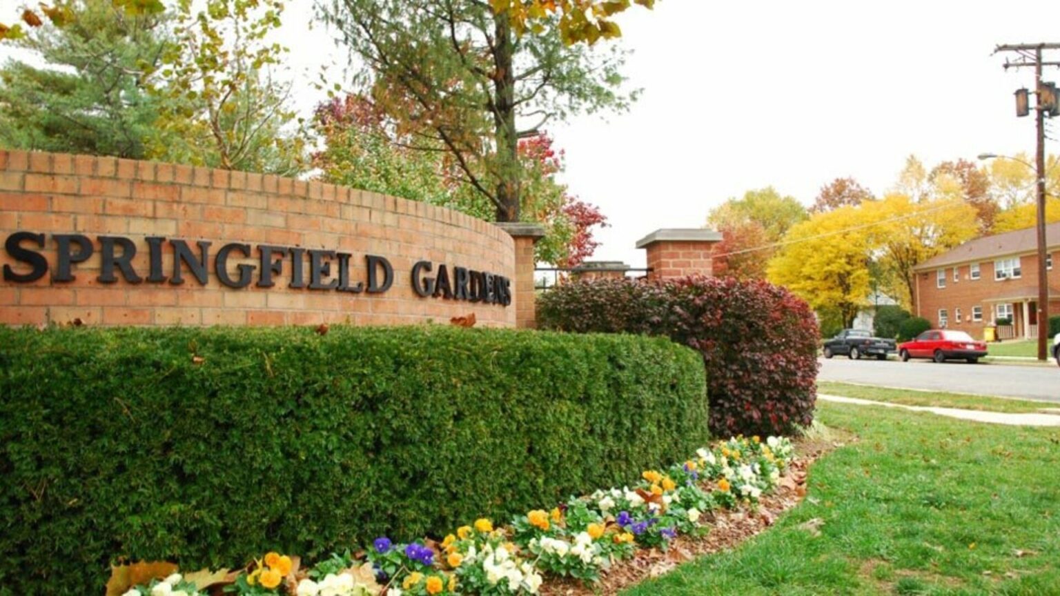 The Dos and Don'ts After a Car Accident in Springfield Gardens: Advice ...